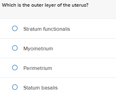 Which is the outer layer of the uterus? Strat | Solvely